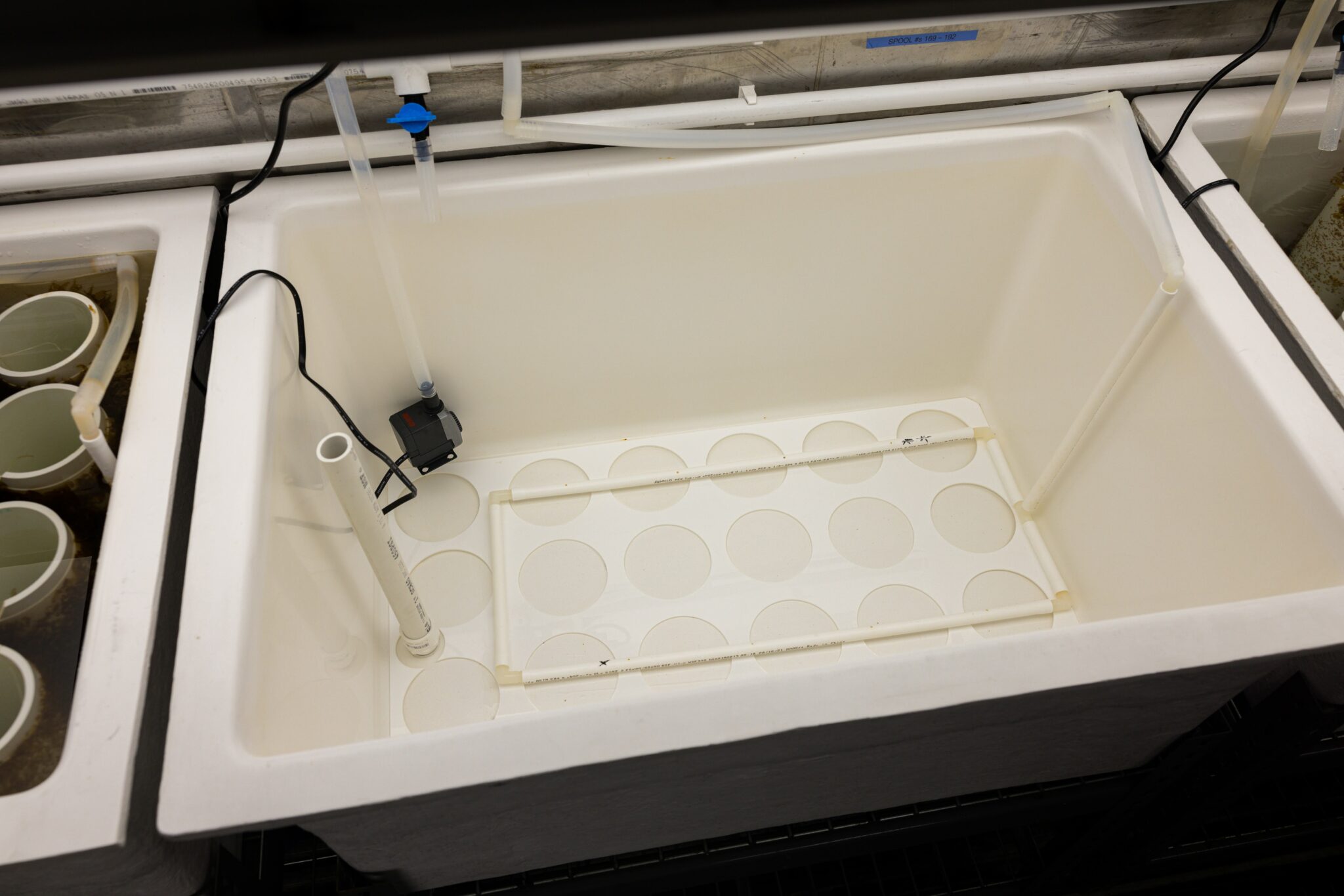 Seed Production Pathways to Scale: Grow Tanks | Getting Started ...