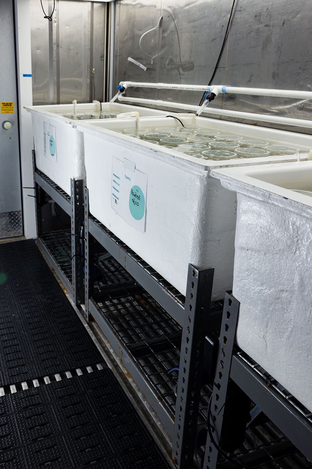 Seed Production Pathways to Scale: Grow Tanks | Getting Started ...