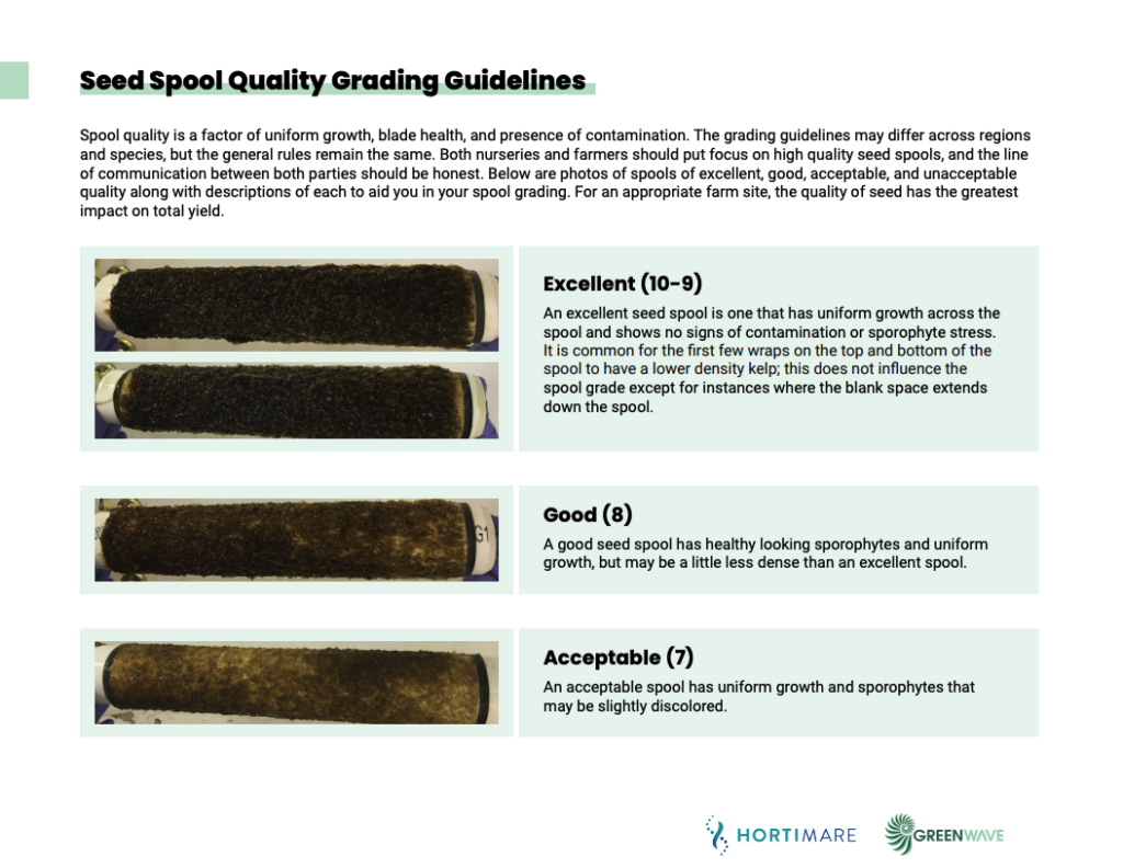 Seed Spool Quality Grading Guidelines | Ocean Farming Hub