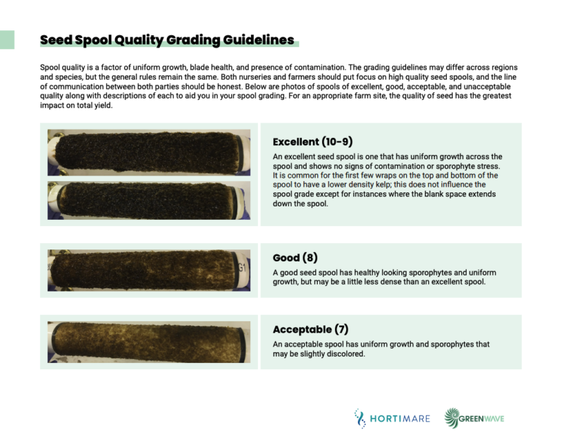 Seed Spool Quality Grading Guidelines | Ocean Farming Hub